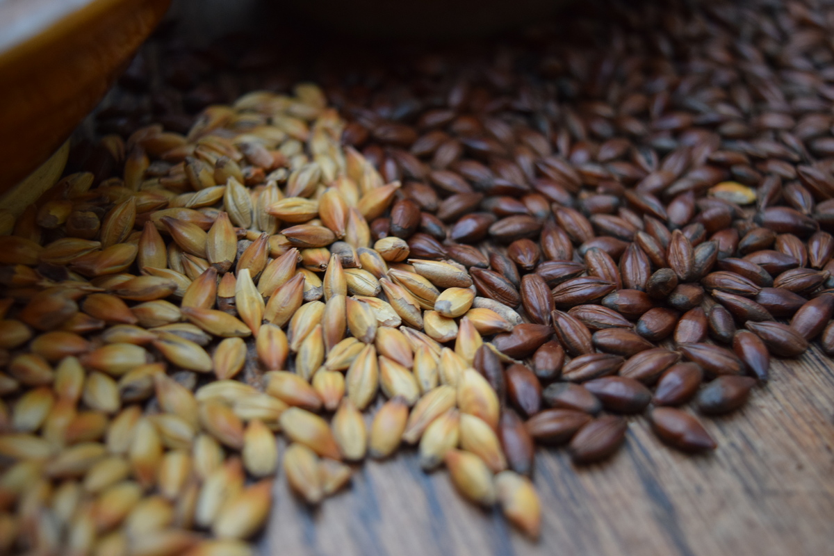 AEO status will boost British malt on the international stage - Beer Today