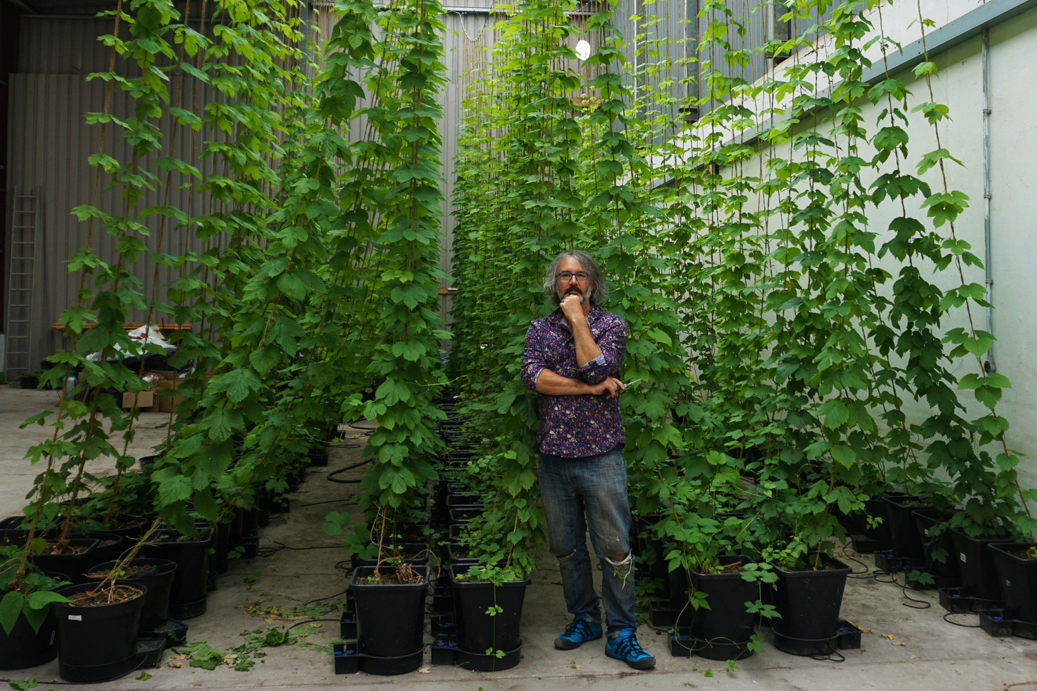 Hydroponic hop grower Dark Farm has a new base - Beer Today